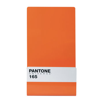 Pantone® 165 Wallstore with 6 Mini Magnets | Wayfair